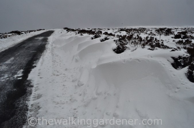 Coast to Coast: Day 11- Blakey Ridge to Egton Bridge | The Walking Gardener