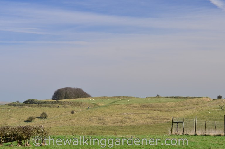 The Ridgeway Path: Day 1 – Overton Hill to Liddington | The Walking ...