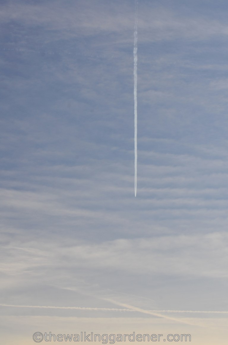 The Ridgeway Path: Day 1 – Overton Hill to Liddington | The Walking ...