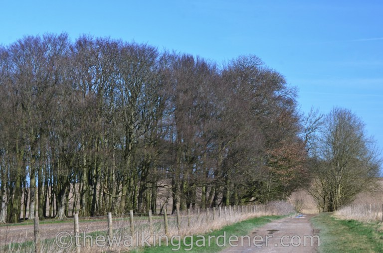 The Ridgeway Path: Day 1 – Overton Hill to Liddington | The Walking ...