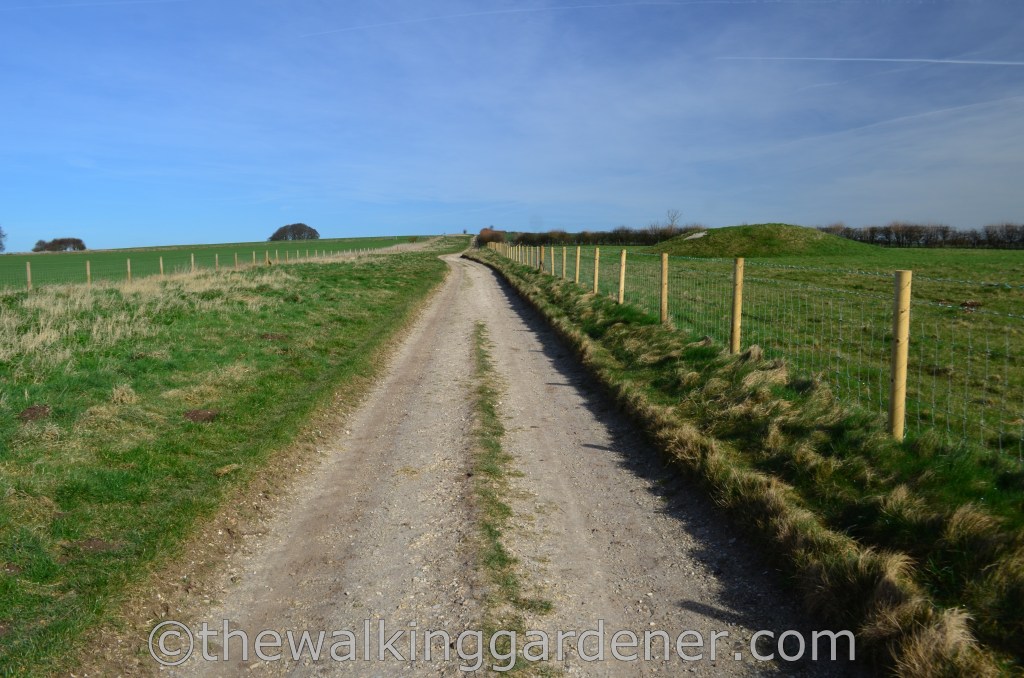 The Ridgeway Path: Day 1 – Overton Hill to Liddington | The Walking ...